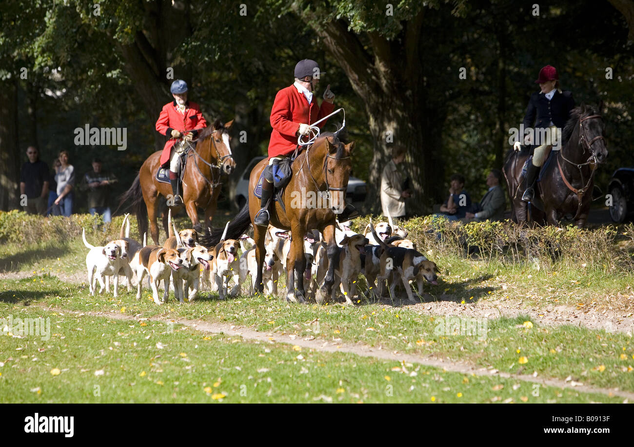 Horsewoman fox hunting hi-res stock photography and images - Alamy