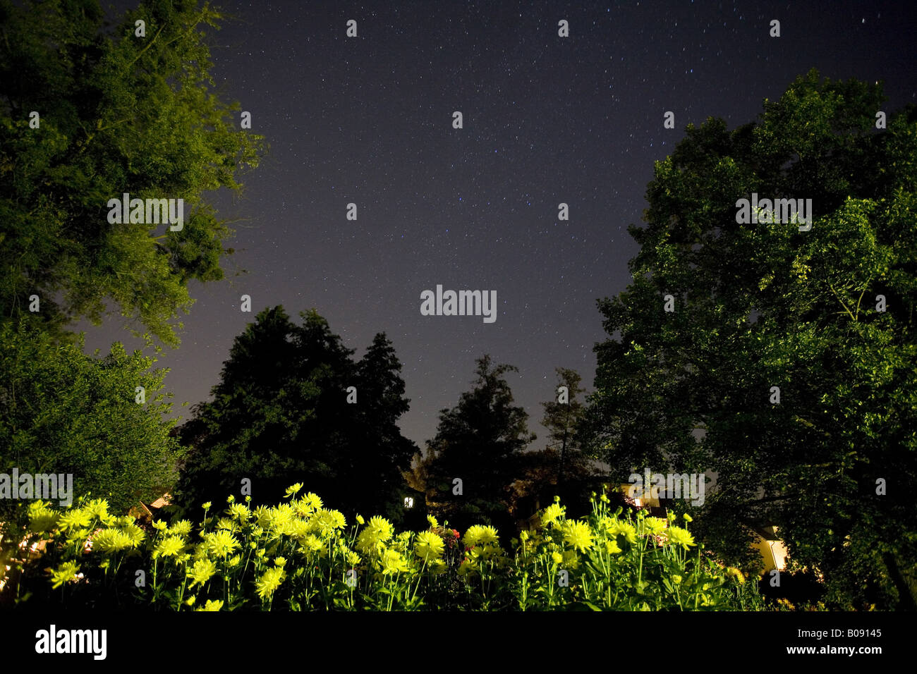 Germany night sky stars hi-res stock photography and images - Alamy