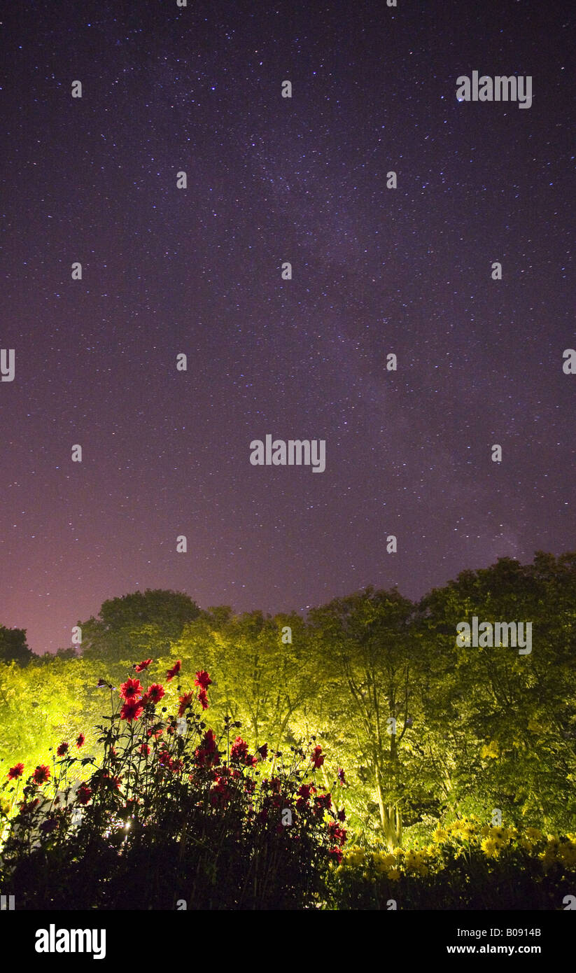 Star Allee High Resolution Stock Photography and Images - Alamy