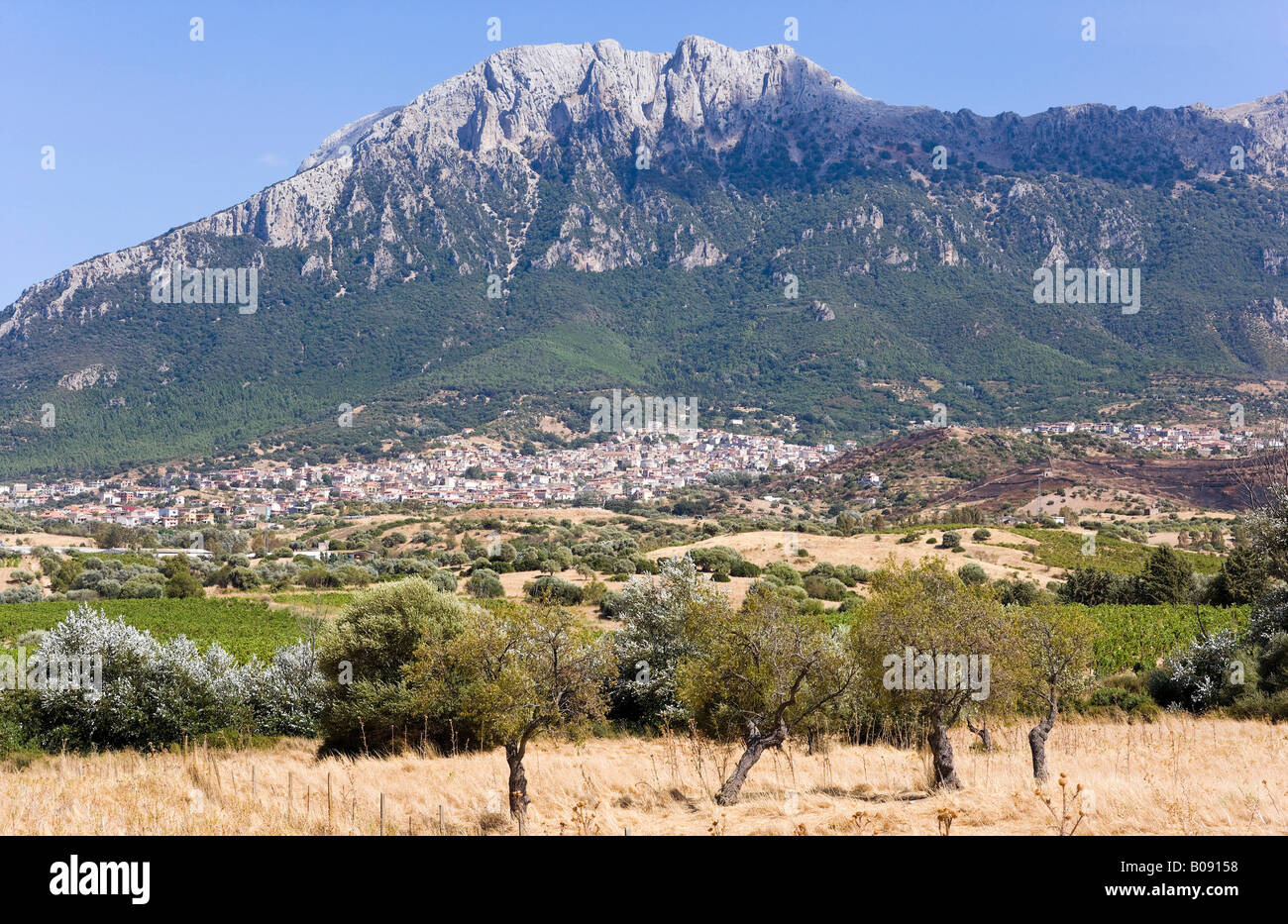 Typical countryside and mountains near Oliena, Sardinia, Italy Stock ...