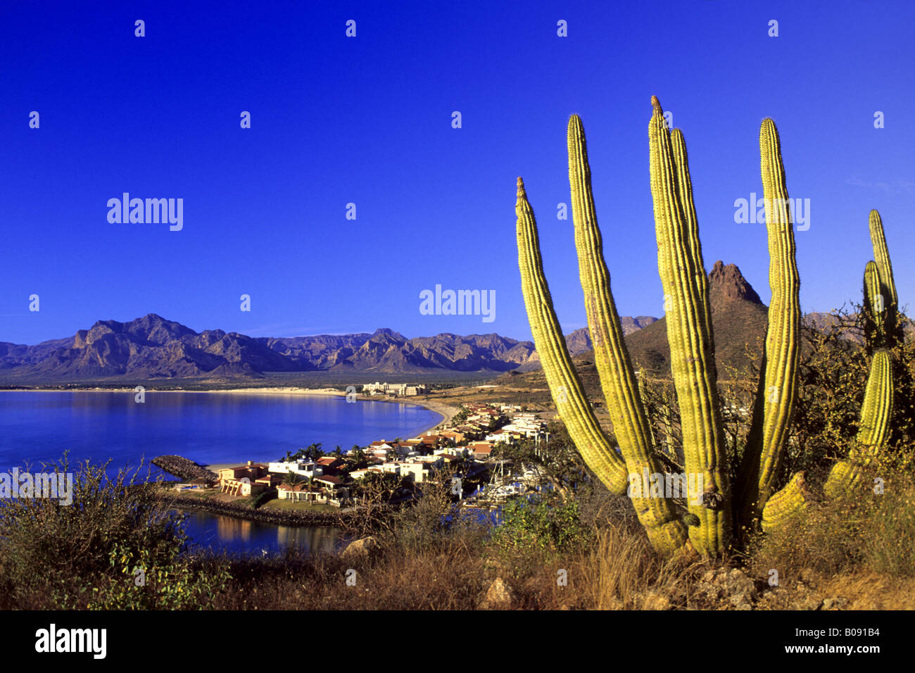 San carlos mexico hi-res stock photography and images - Alamy