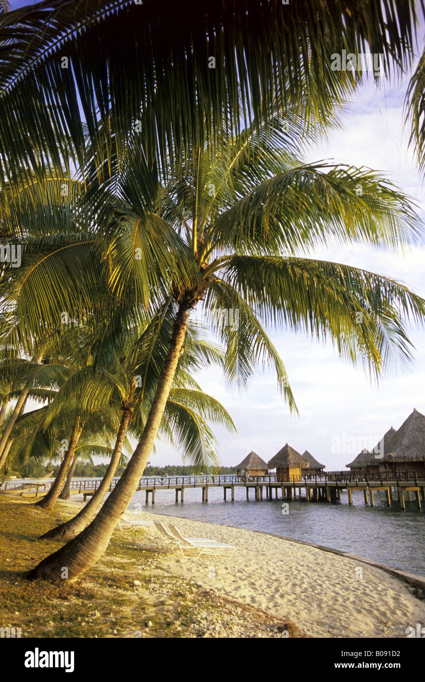 palm lined beach and water bungalows, French Polynesia, Tahita ...