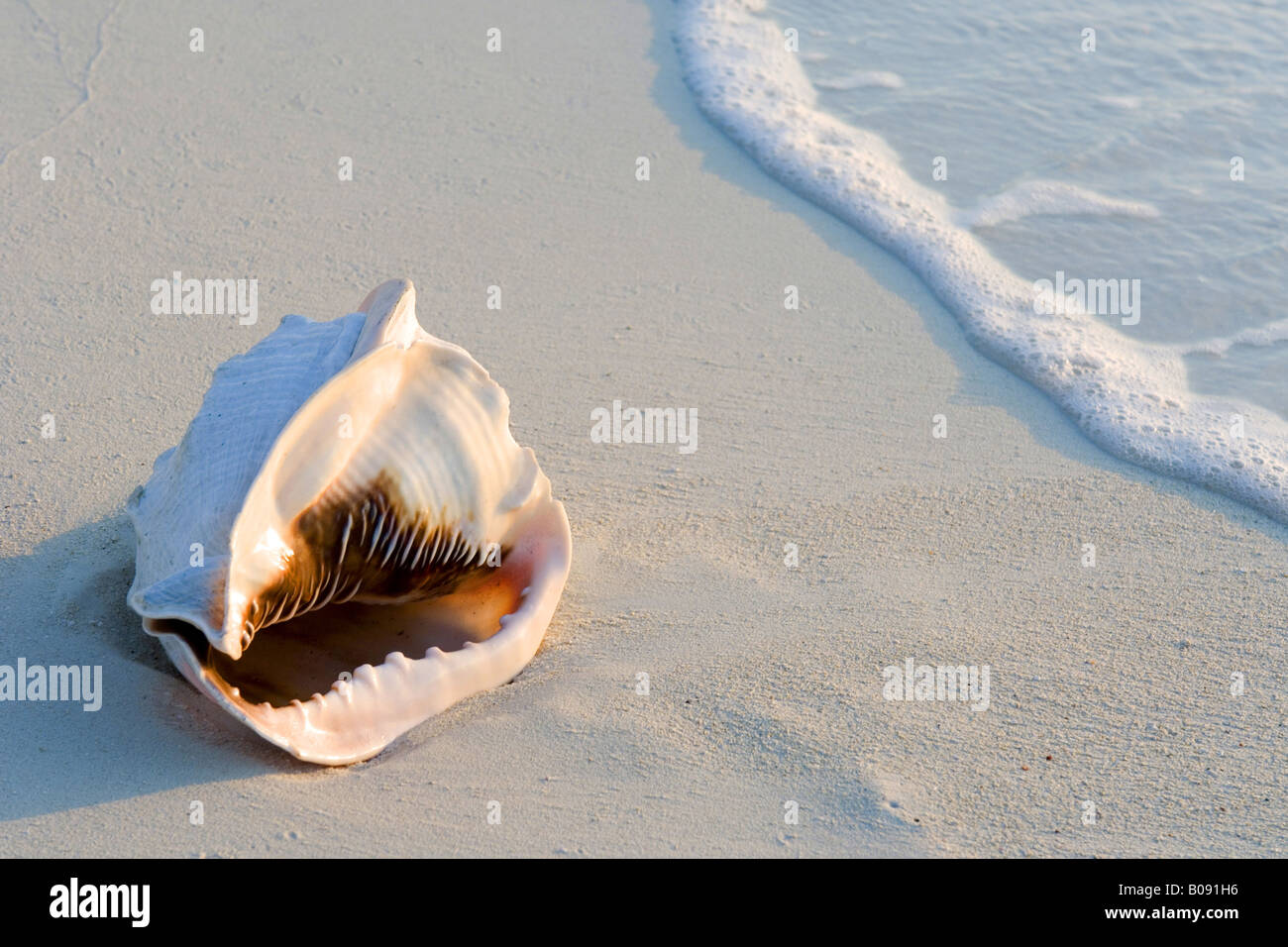 Cook islands mcphoto beach hi-res stock photography and images - Alamy