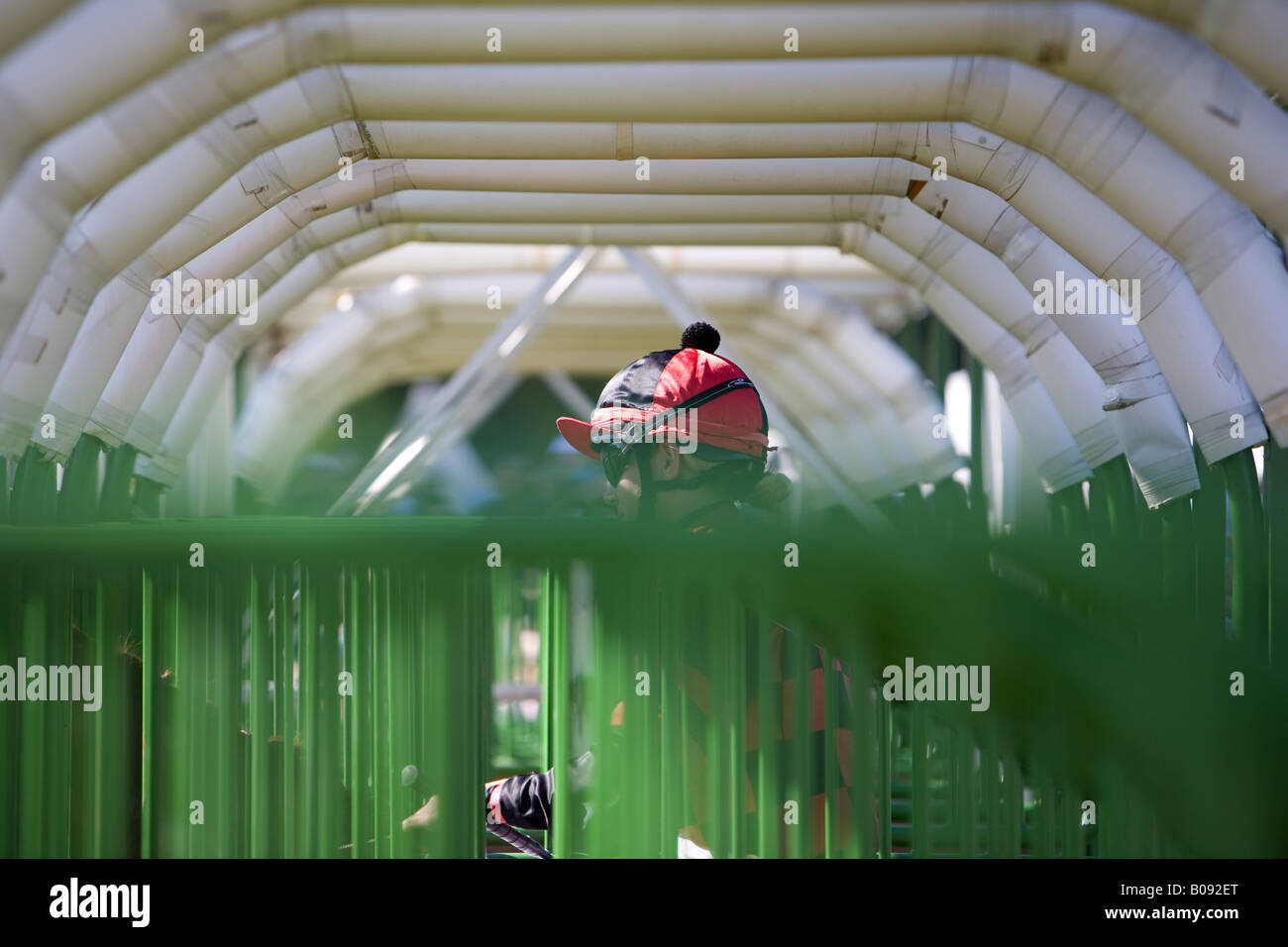 Horse racing jockey in starting boxes, Germany Stock Photo - Alamy