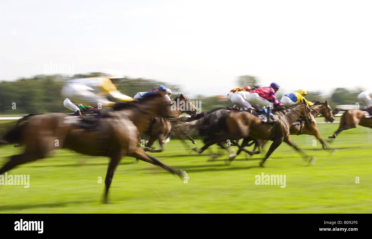 Horse racing movement, Germany Stock Photo - Alamy