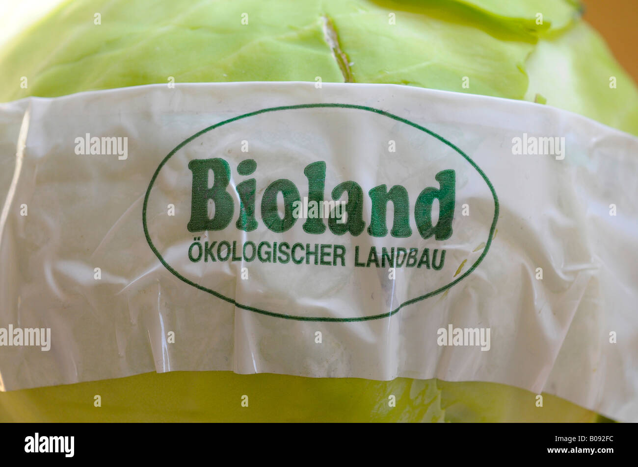 Cabbage label hi-res stock photography and images - Alamy