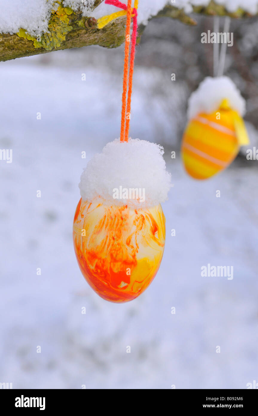 Eggs in the snow hi-res stock photography and images - Alamy