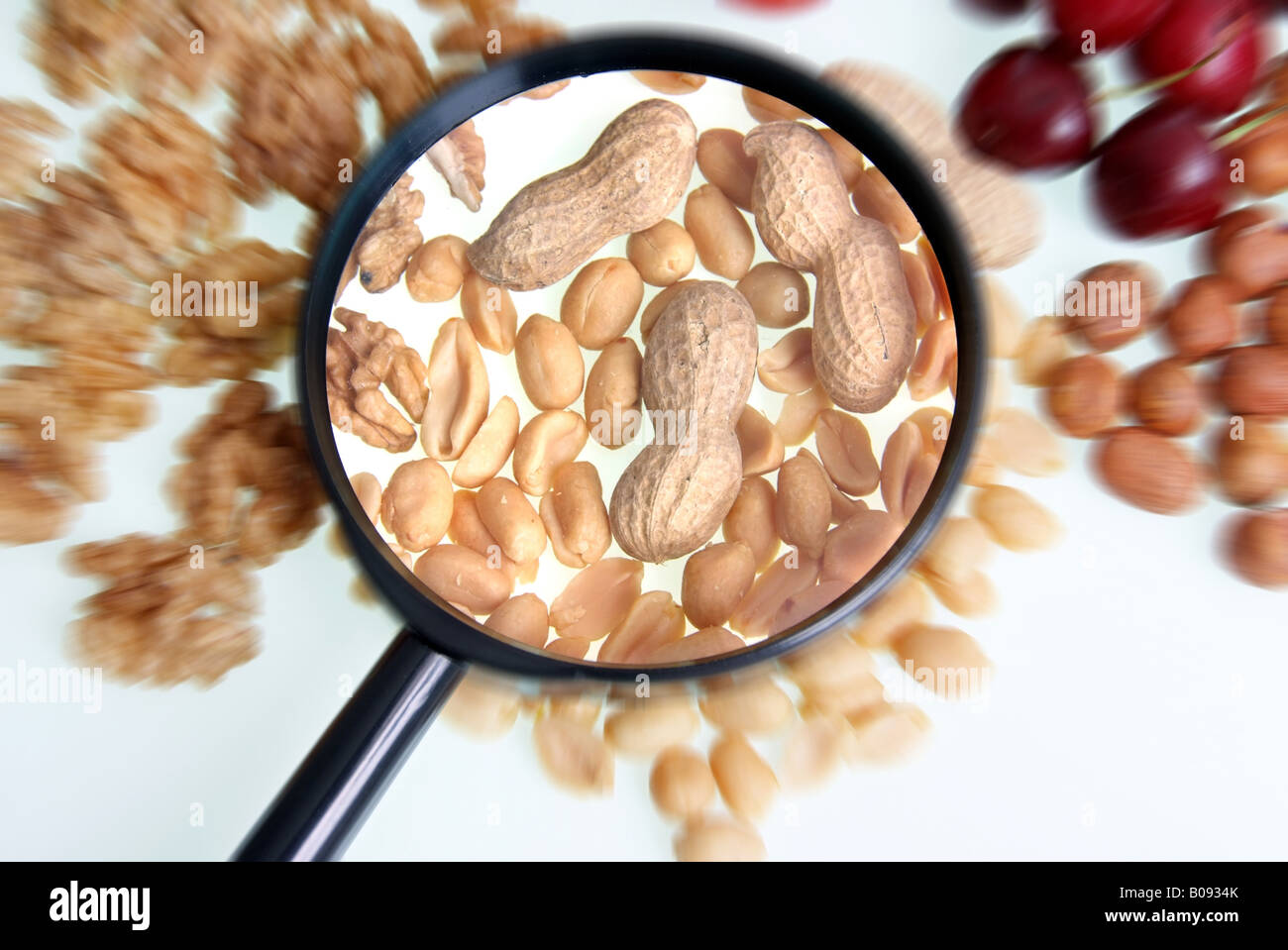nuts under loupe Stock Photo - Alamy