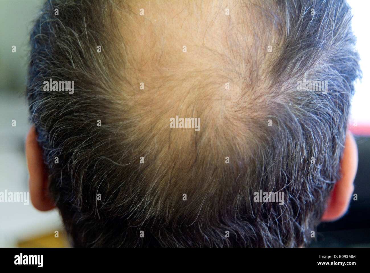 Back of man s head Stock Photo - Alamy