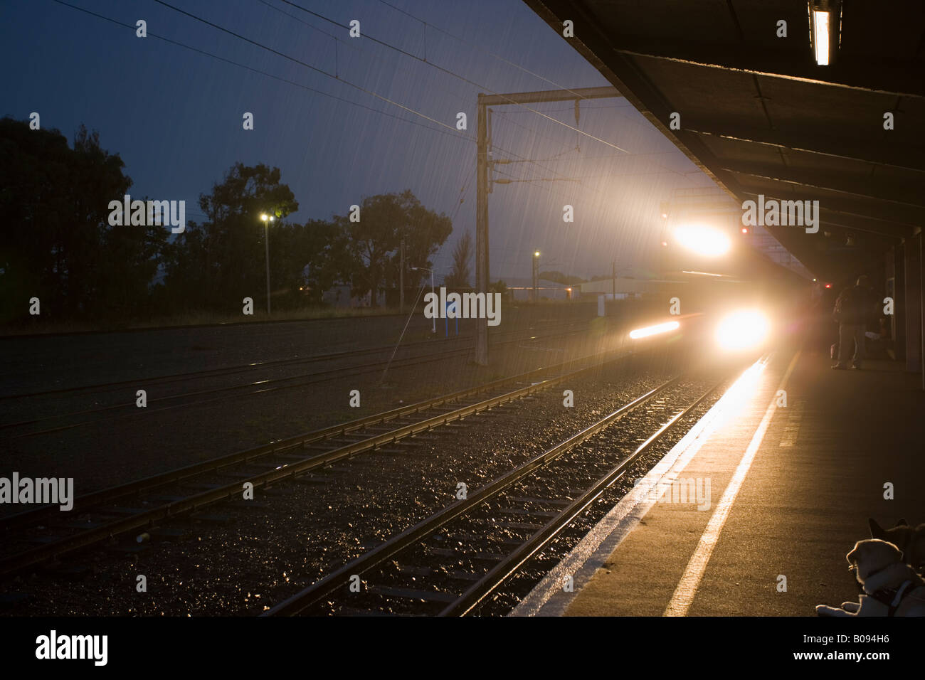Wellington commuter train hi-res stock photography and images - Alamy