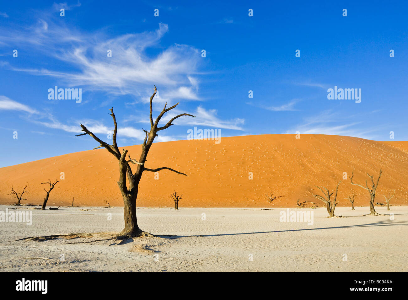 Dead trees on a dried up clay pan in Deadvlei, Namib Desert, Namibia ...