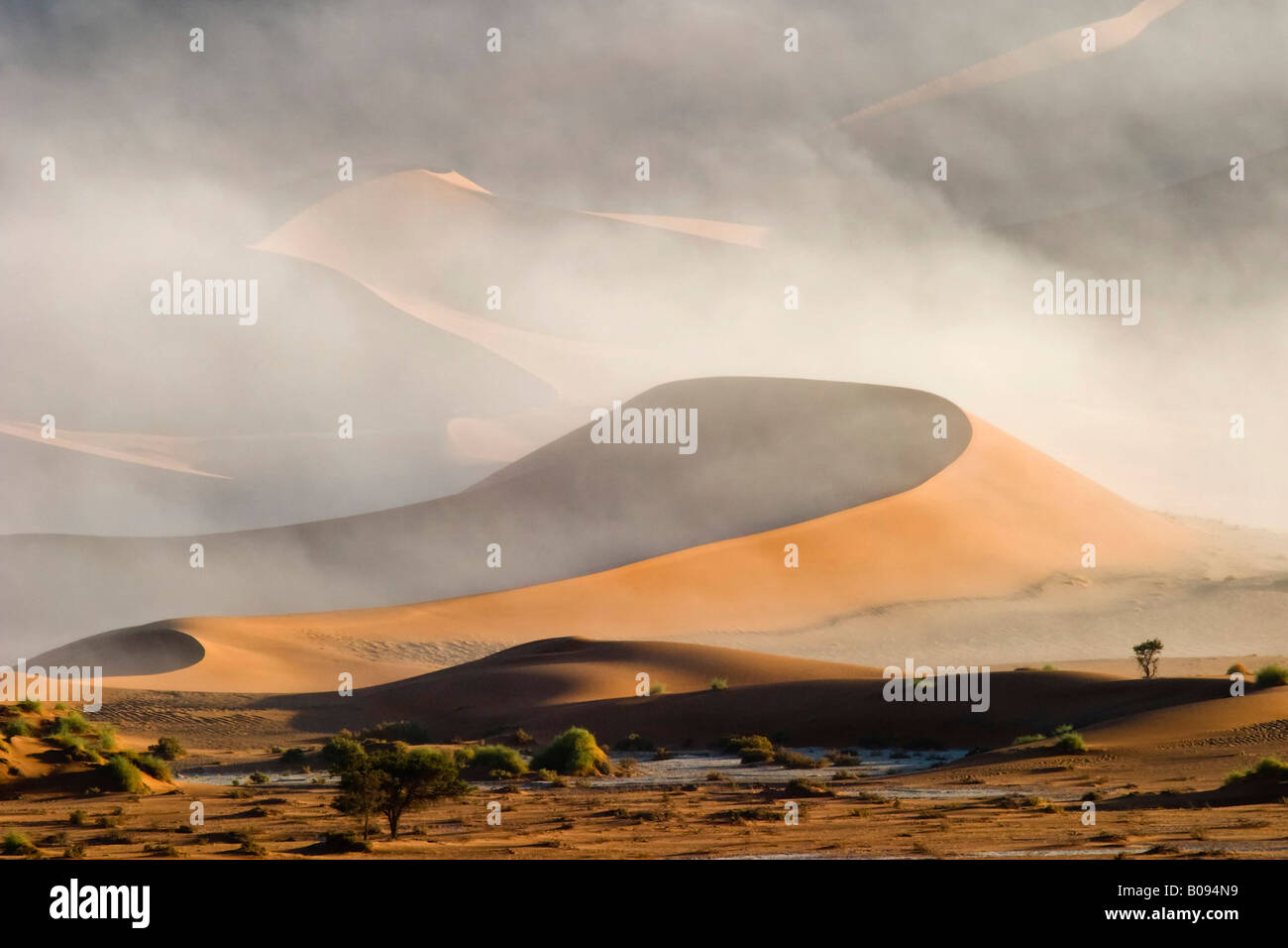 Coastal fog over sand dunes in Sossusvlei, Namib Desert, Namibia ...