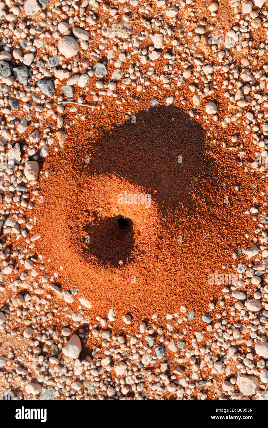Anthill australia hi-res stock photography and images - Alamy