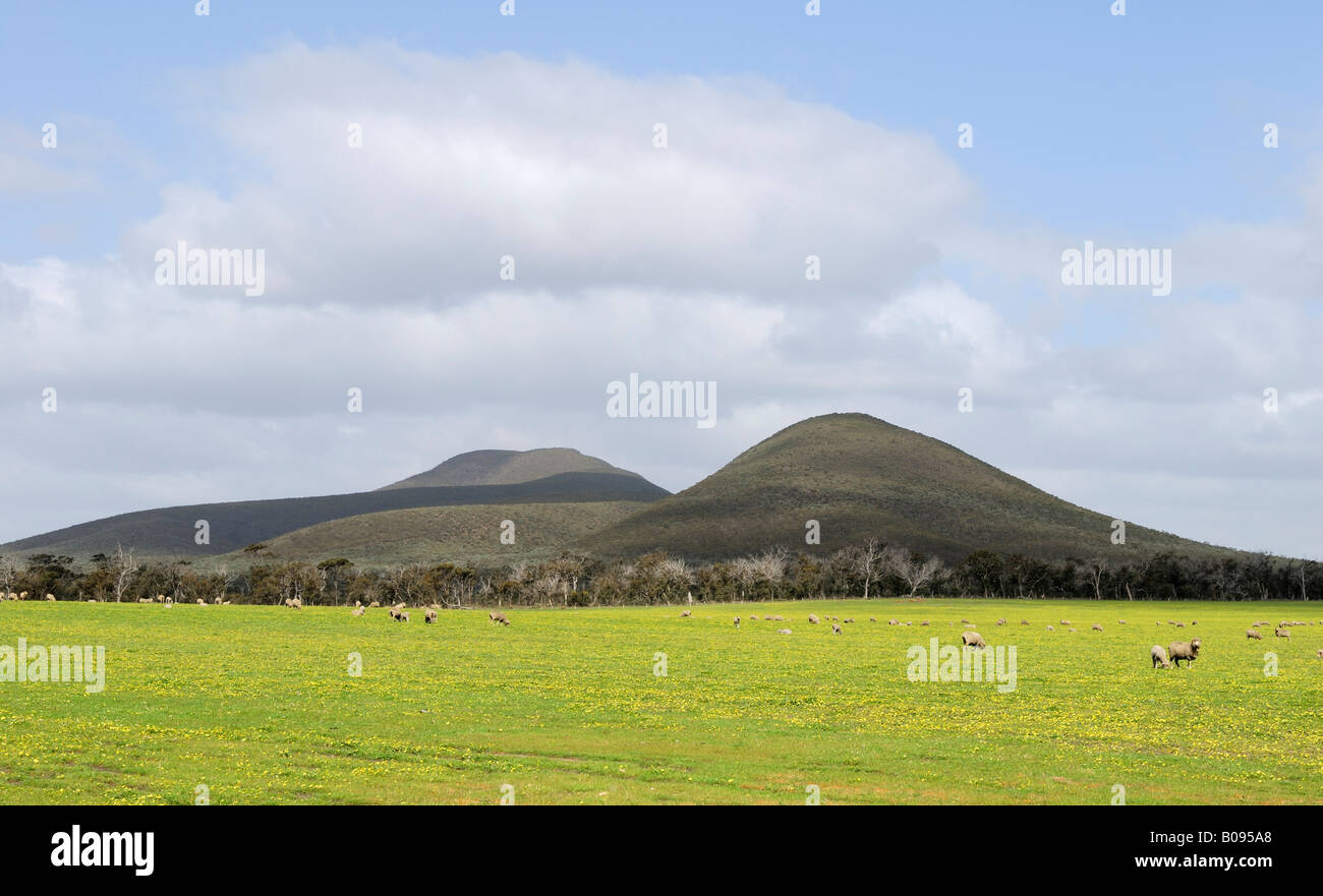 Stirling ranges hi-res stock photography and images - Alamy