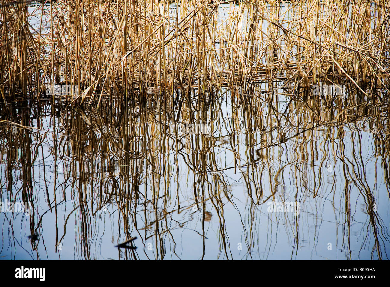 Water edge waters edge waterside hi-res stock photography and images ...