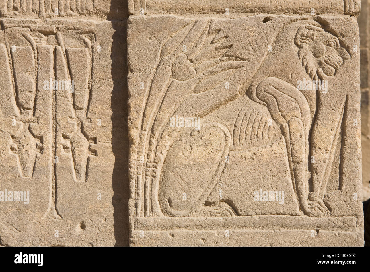 Relief of Lion at Hathor Temple within Temple of Philae, Island of Isis ...