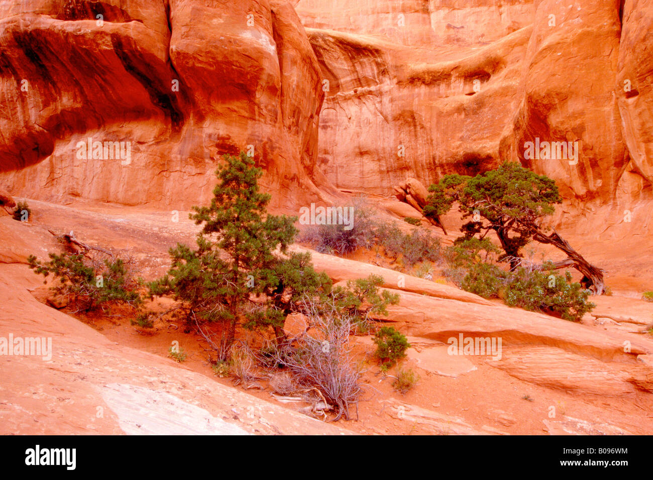 Devil's Garden, Arches National Park, Utah, USA Stock Photo - Alamy