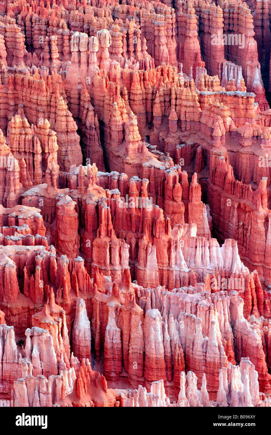 Amphitheater, Bryce Canyon National Park, Utah, USA Stock Photo - Alamy