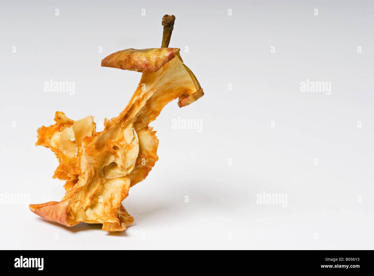 Stock photo of a dried up old apple core The image is shot against a ...