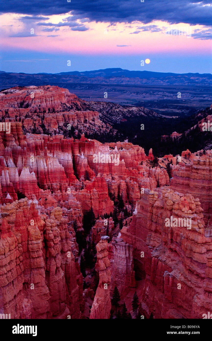 Amphitheater, Bryce Canyon National Park, Utah, USA Stock Photo - Alamy