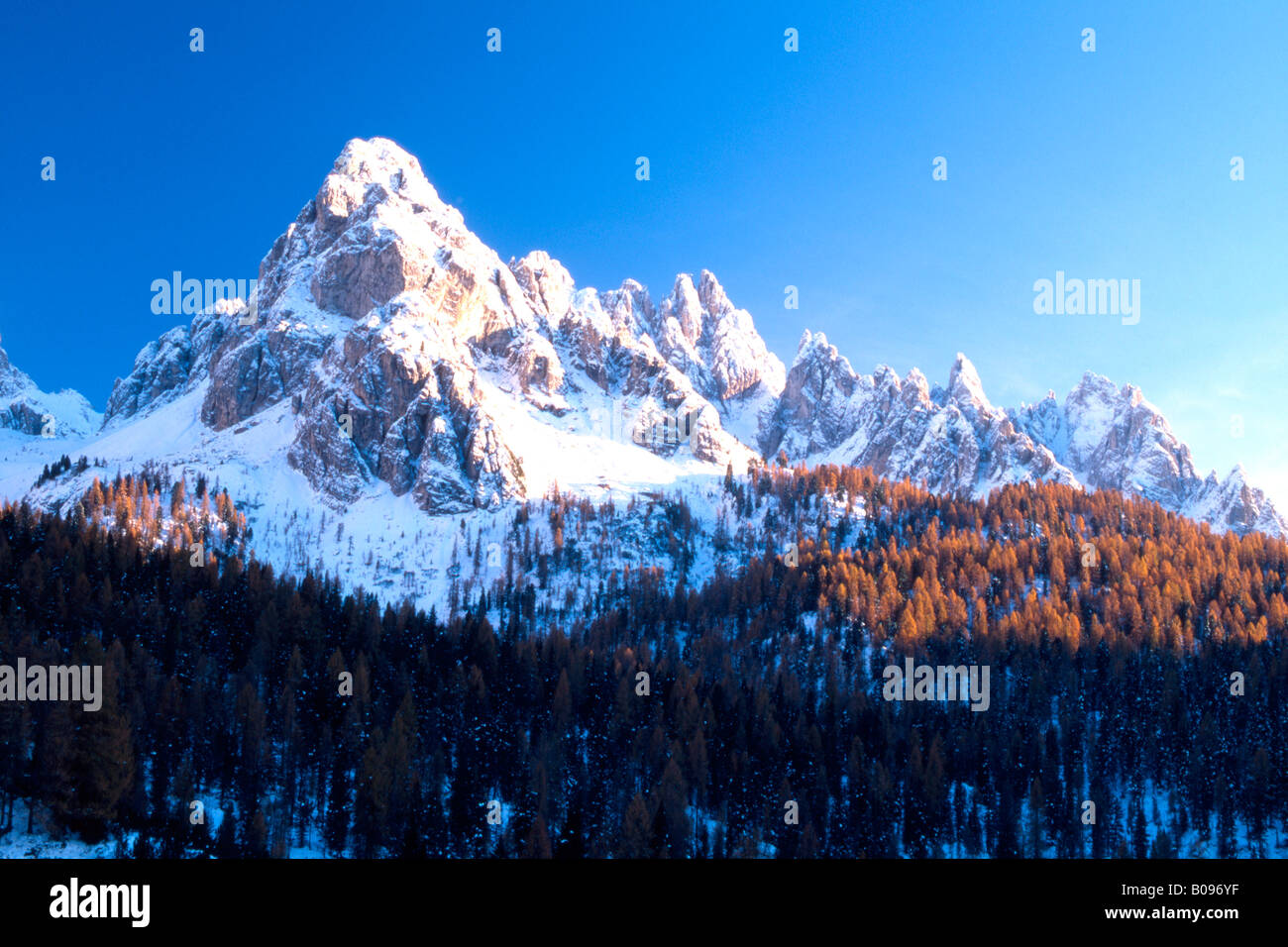 Cardinigruppe hi-res stock photography and images - Alamy