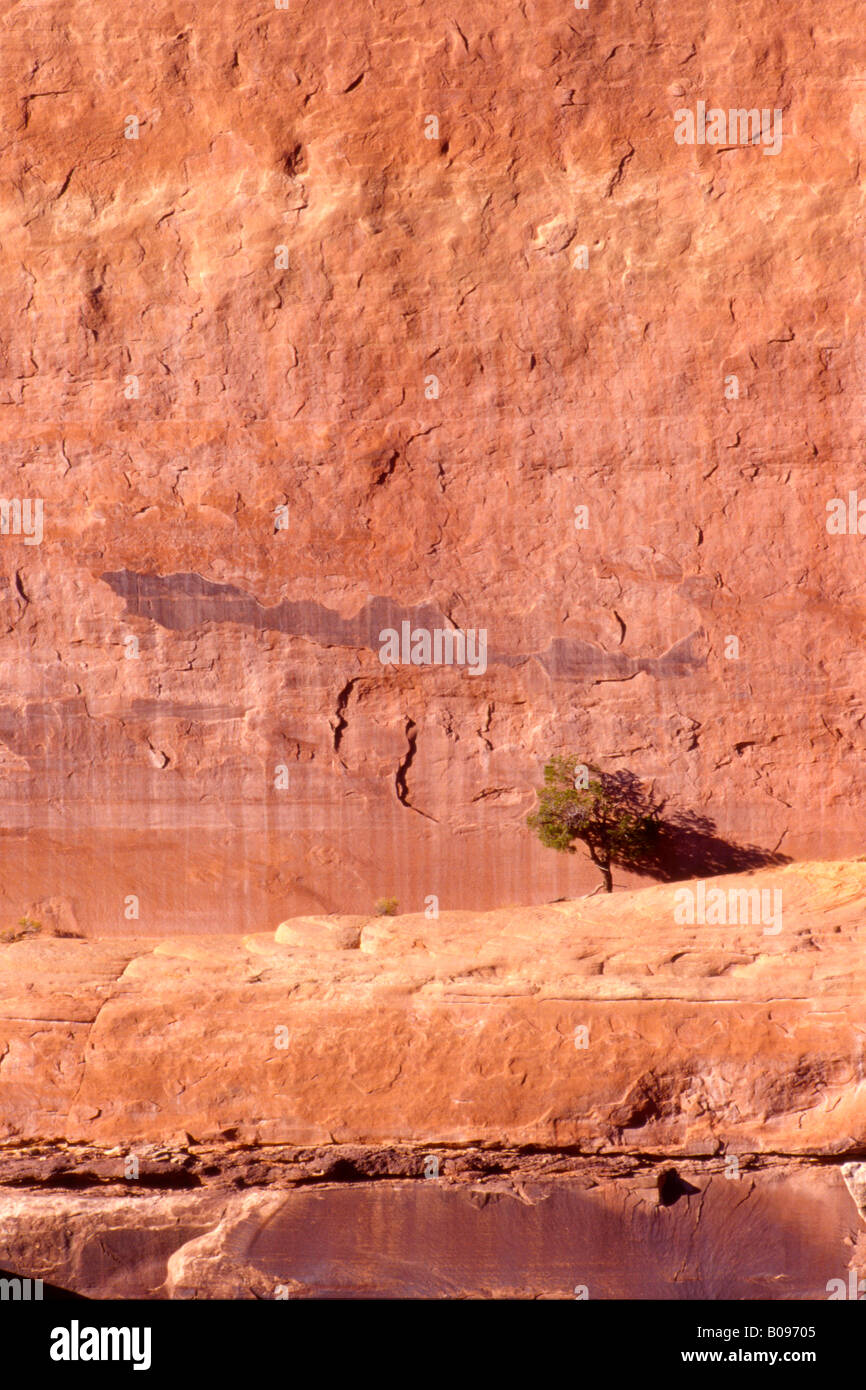 Colorado wildlife hi-res stock photography and images - Alamy