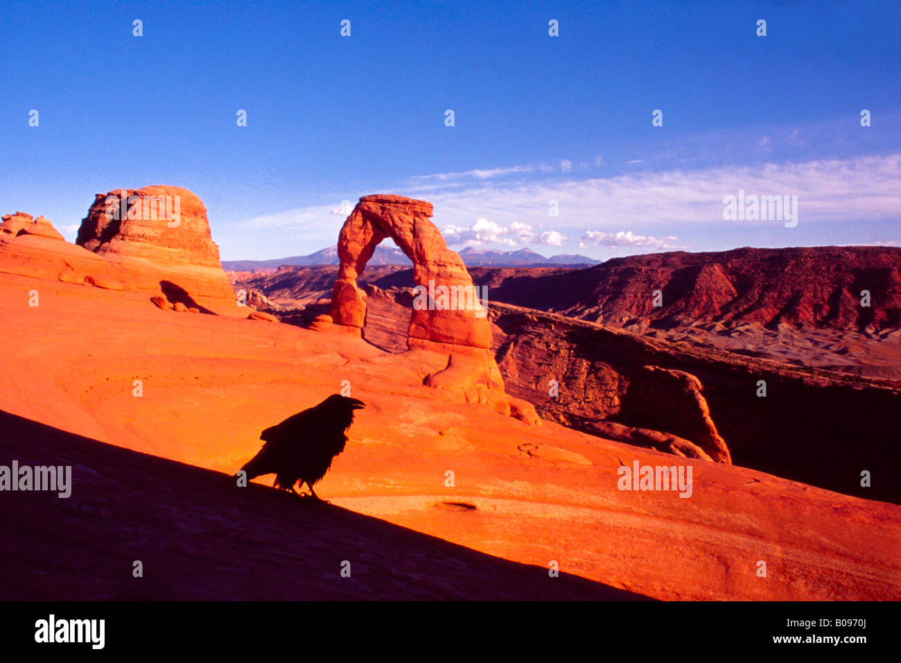Raven arch hi-res stock photography and images - Alamy