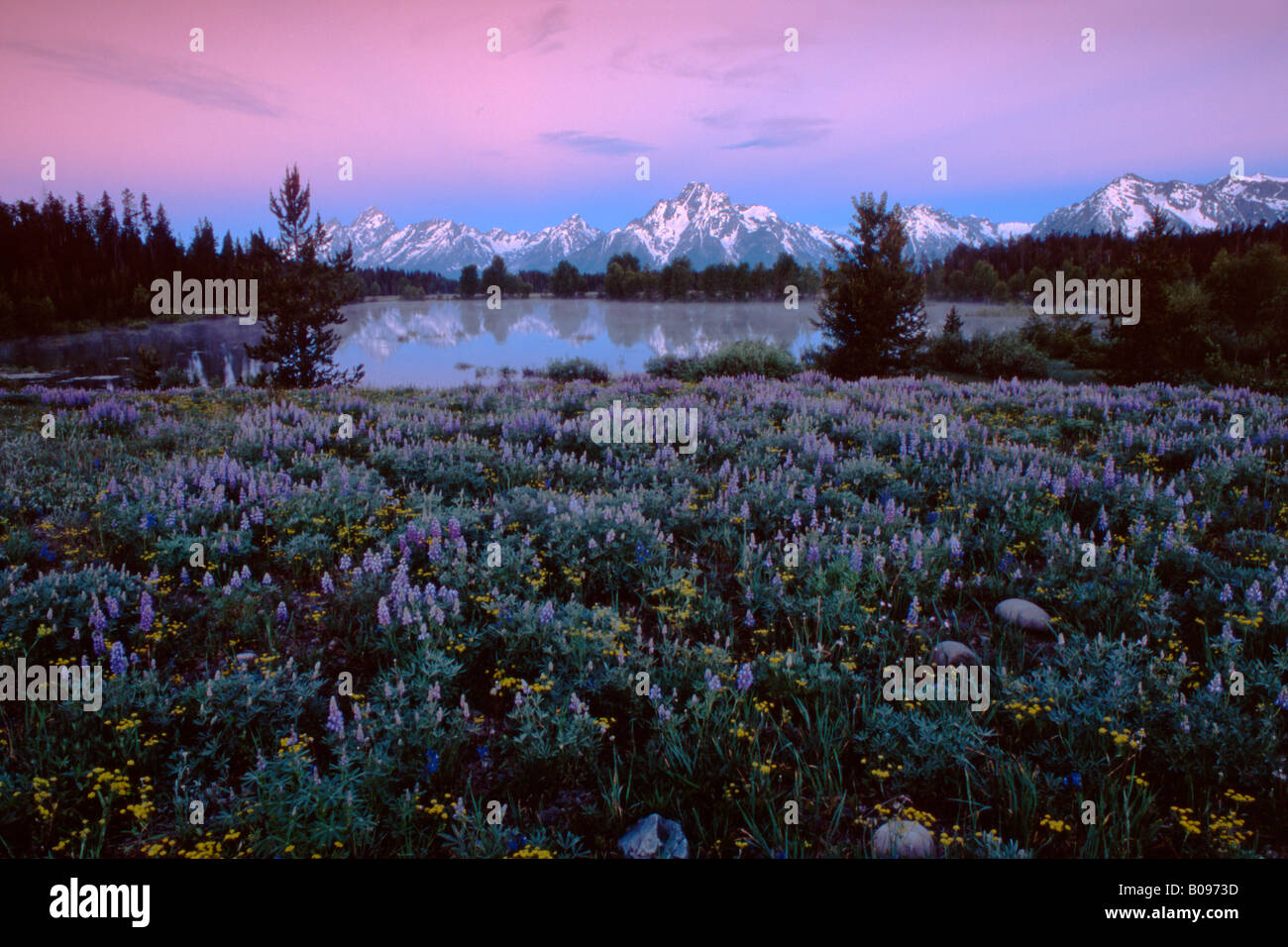 Teton Range, Grand Teton National Park, Wyoming, USA, North America ...
