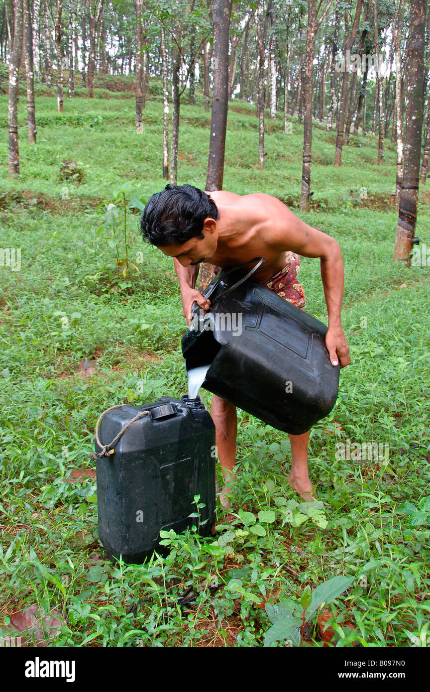 Kallu hi-res stock photography and images - Alamy