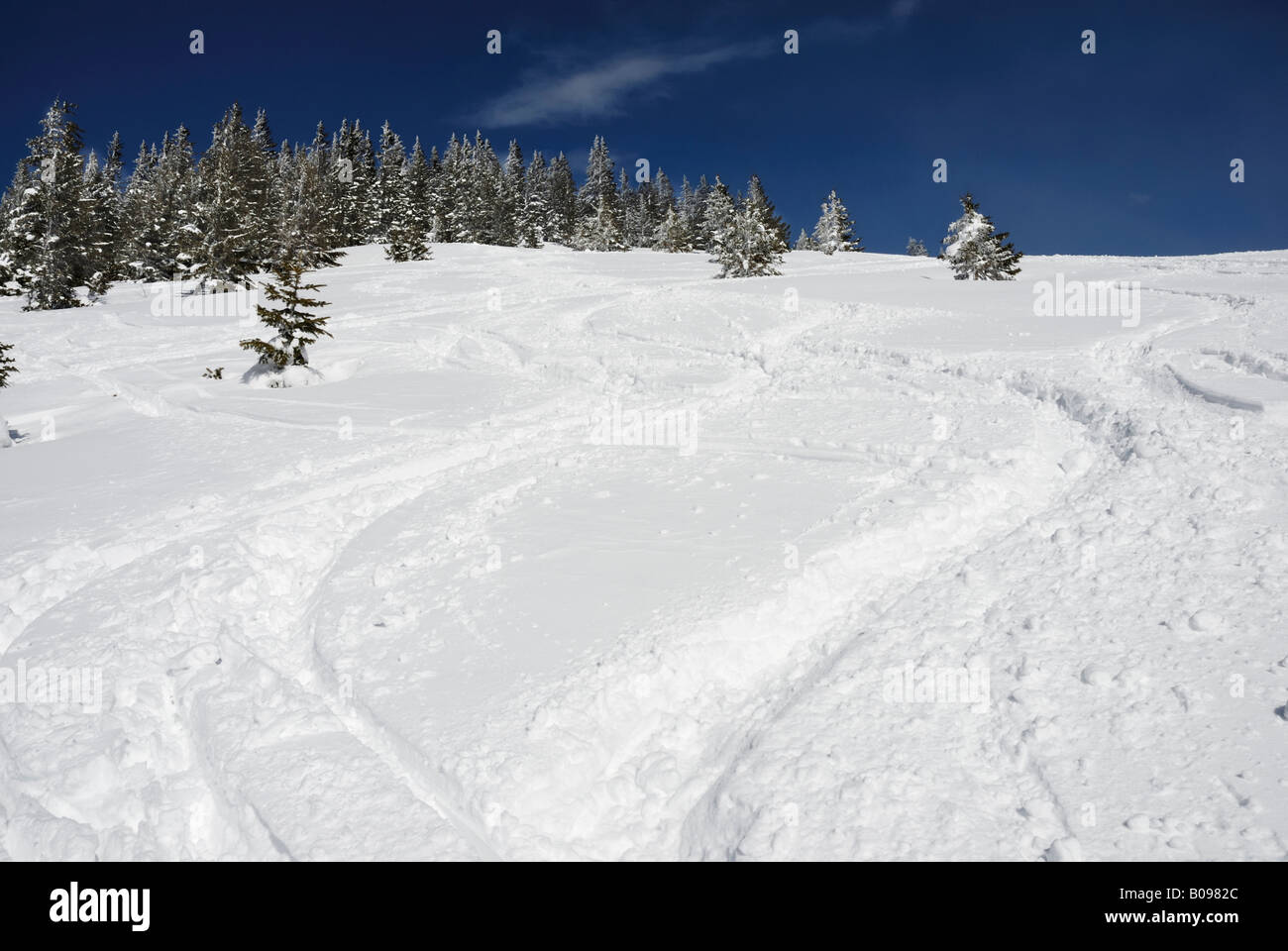 Ski tracks in deep snow, Chiemgau, Bavarian Alps, Bavaria, Germany ...