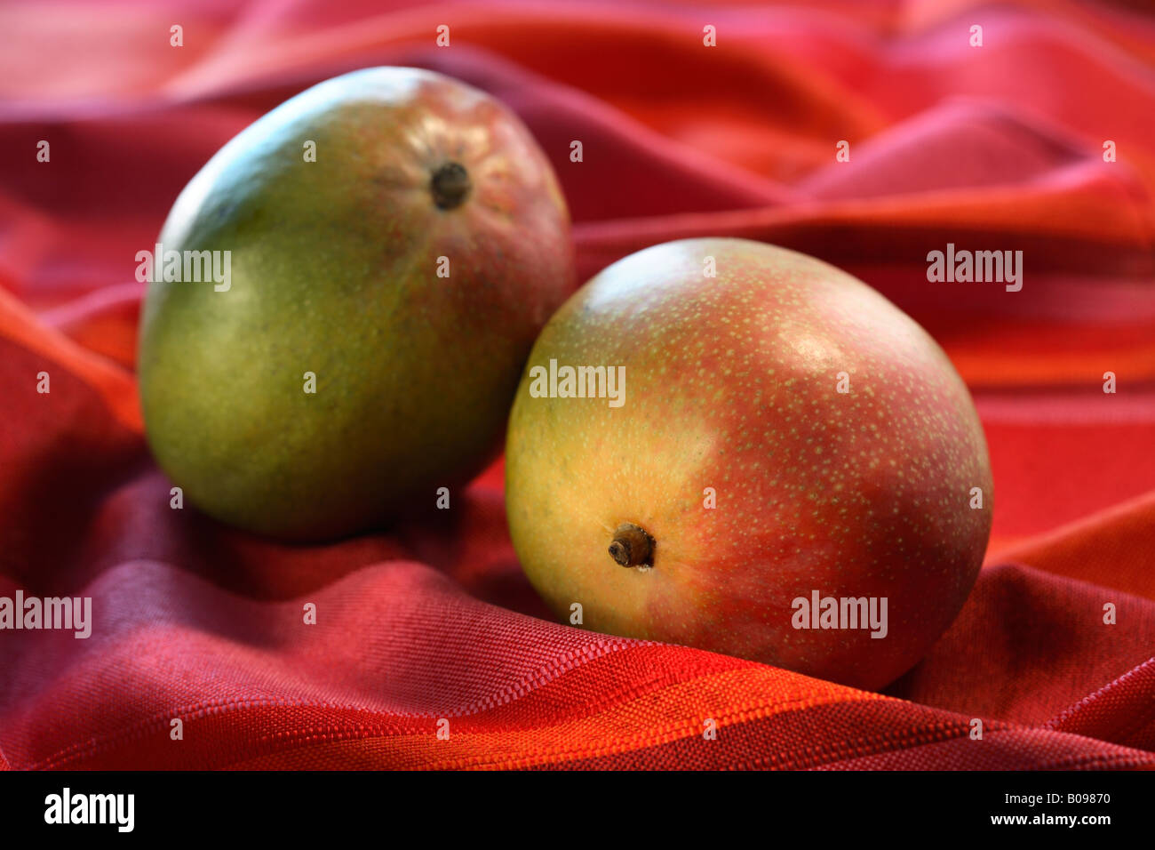Two mangoes hi-res stock photography and images - Alamy