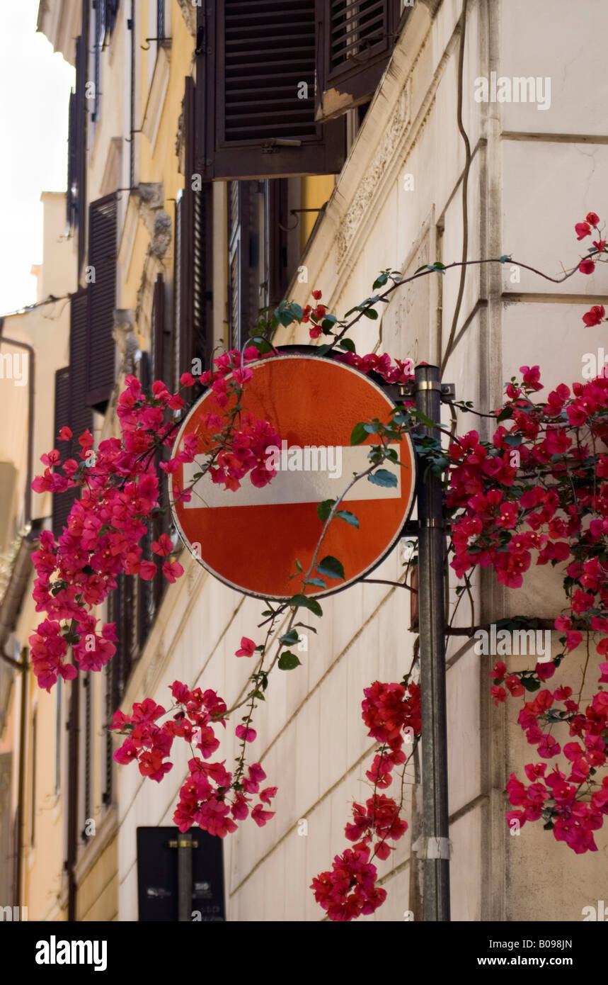 No entry sign with red Bougainvillea flowers, Rome, Italy Stock Photo ...