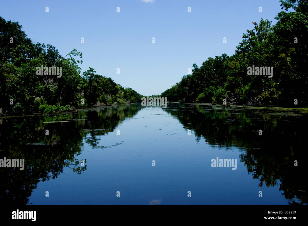 Mississippi delta swamp hi-res stock photography and images - Alamy
