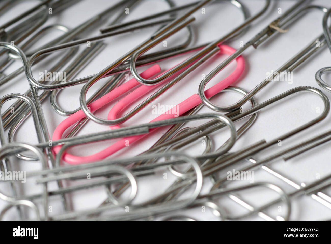Pink paperclip hi-res stock photography and images - Alamy