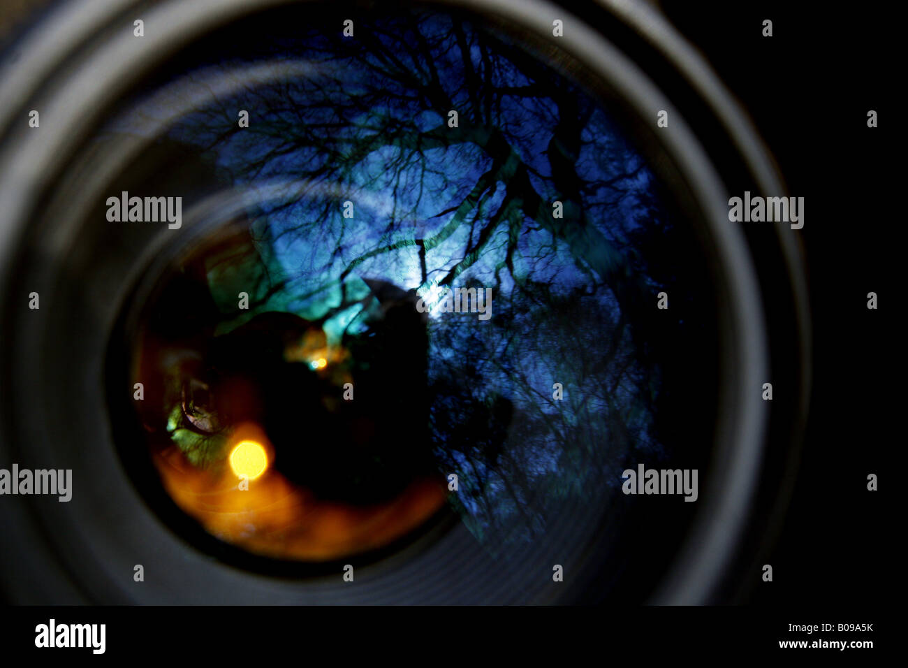 Reflection trees hi-res stock photography and images - Alamy