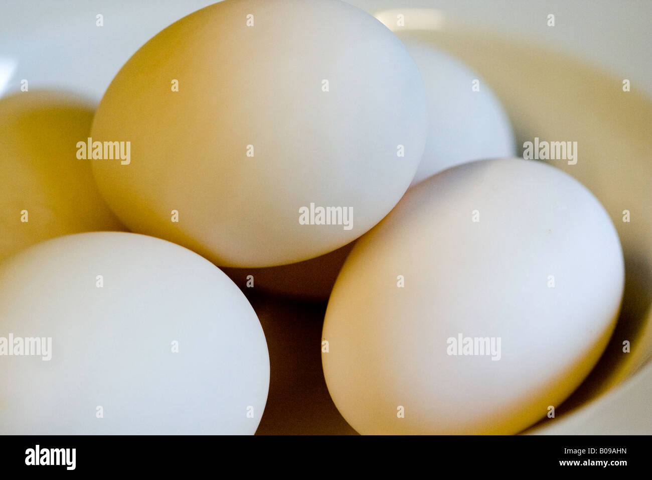 Bowl of white duck eggs Stock Photo - Alamy