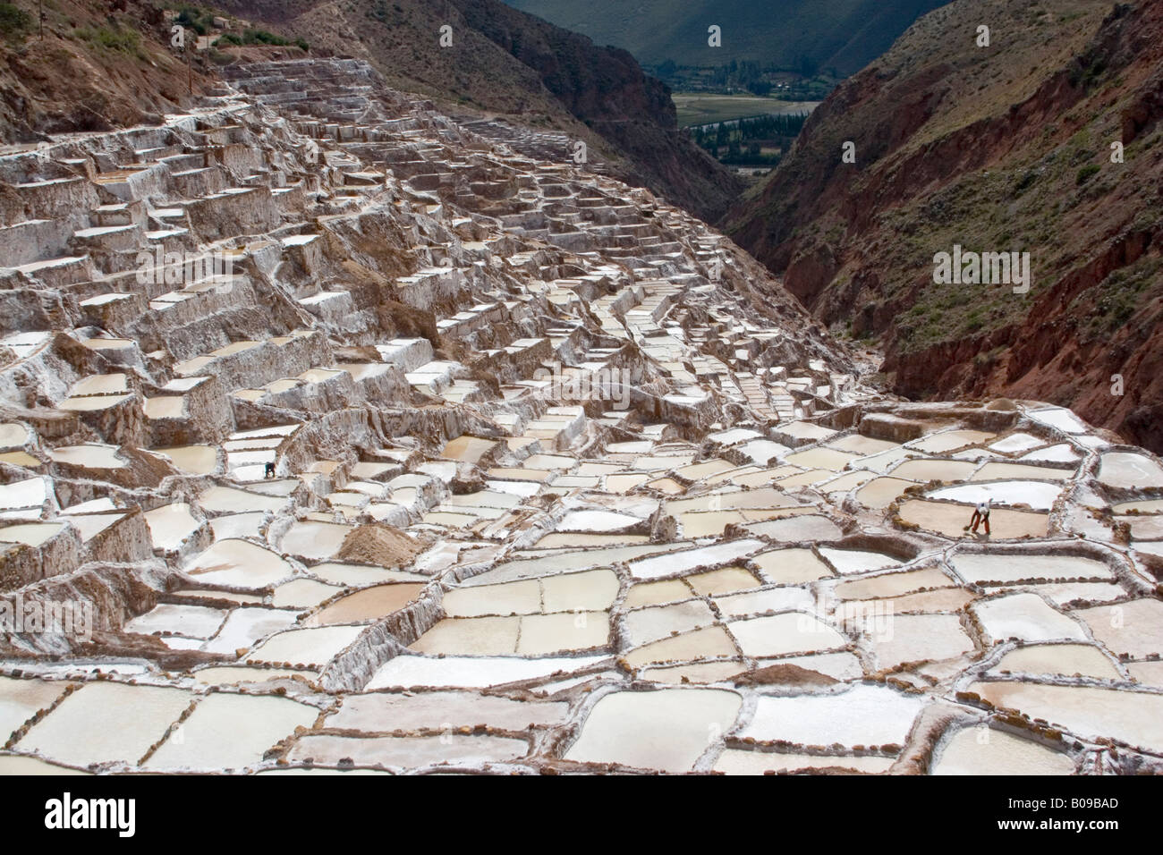 South America - Peru. Salt ponds near Maras where the salt water ...