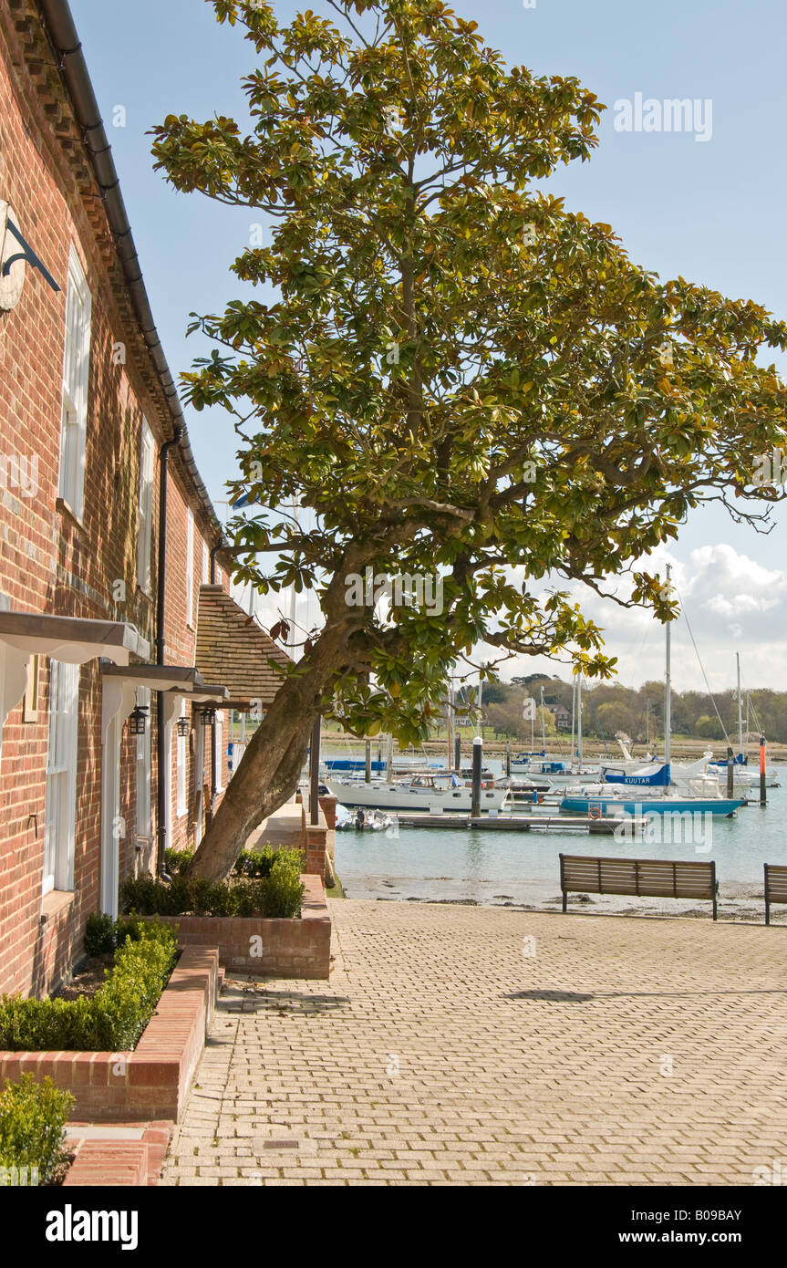 England Hampshire Hamble houses overlooking the popular yachting river ...