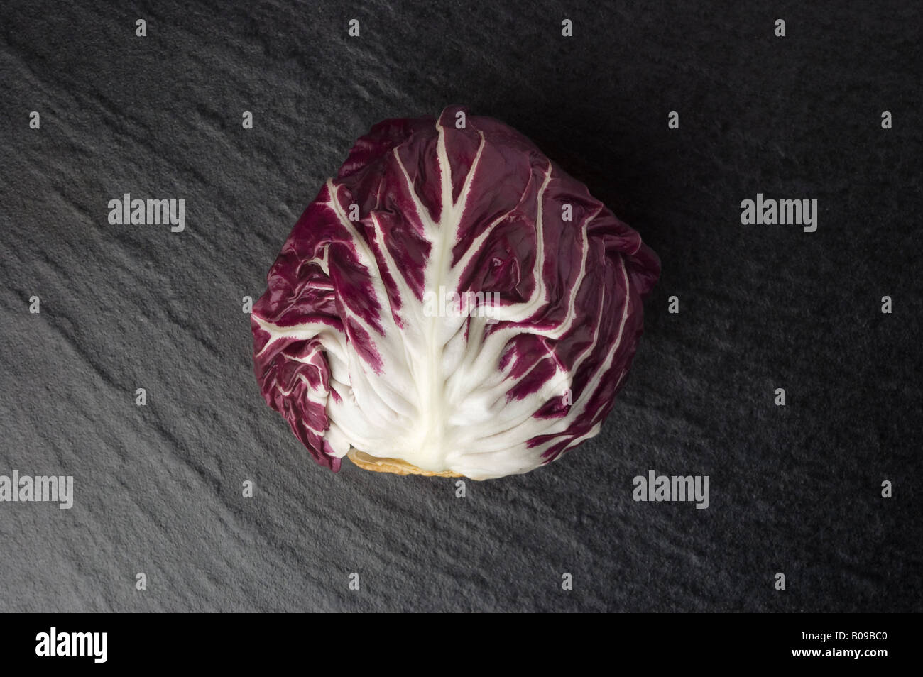 Red radicchio radicchio rosso di Treviso Italian chicory Veggie fine ...