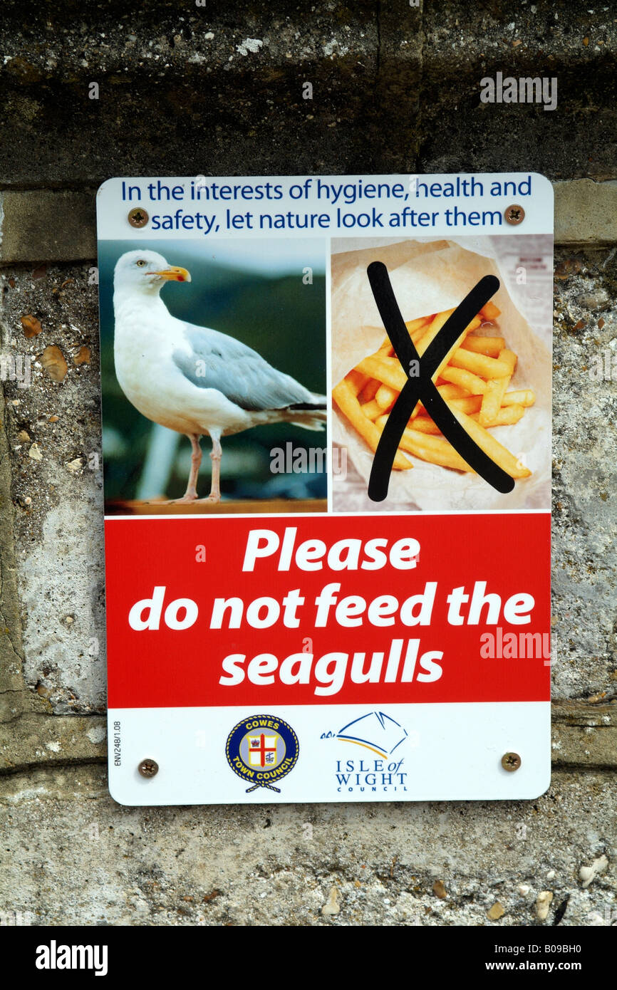 Do Not Feed Seagulls Fried Chips Sign Cowes Isle of Wight England Stock ...