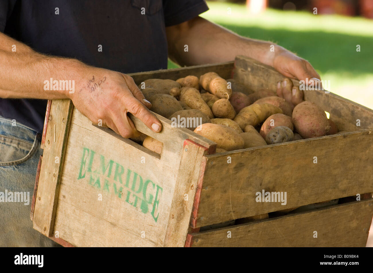 A photo of a large crate of potatoes Stock Photo - Alamy