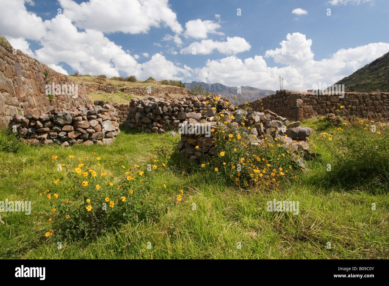Inca irrigation system hi-res stock photography and images - Alamy