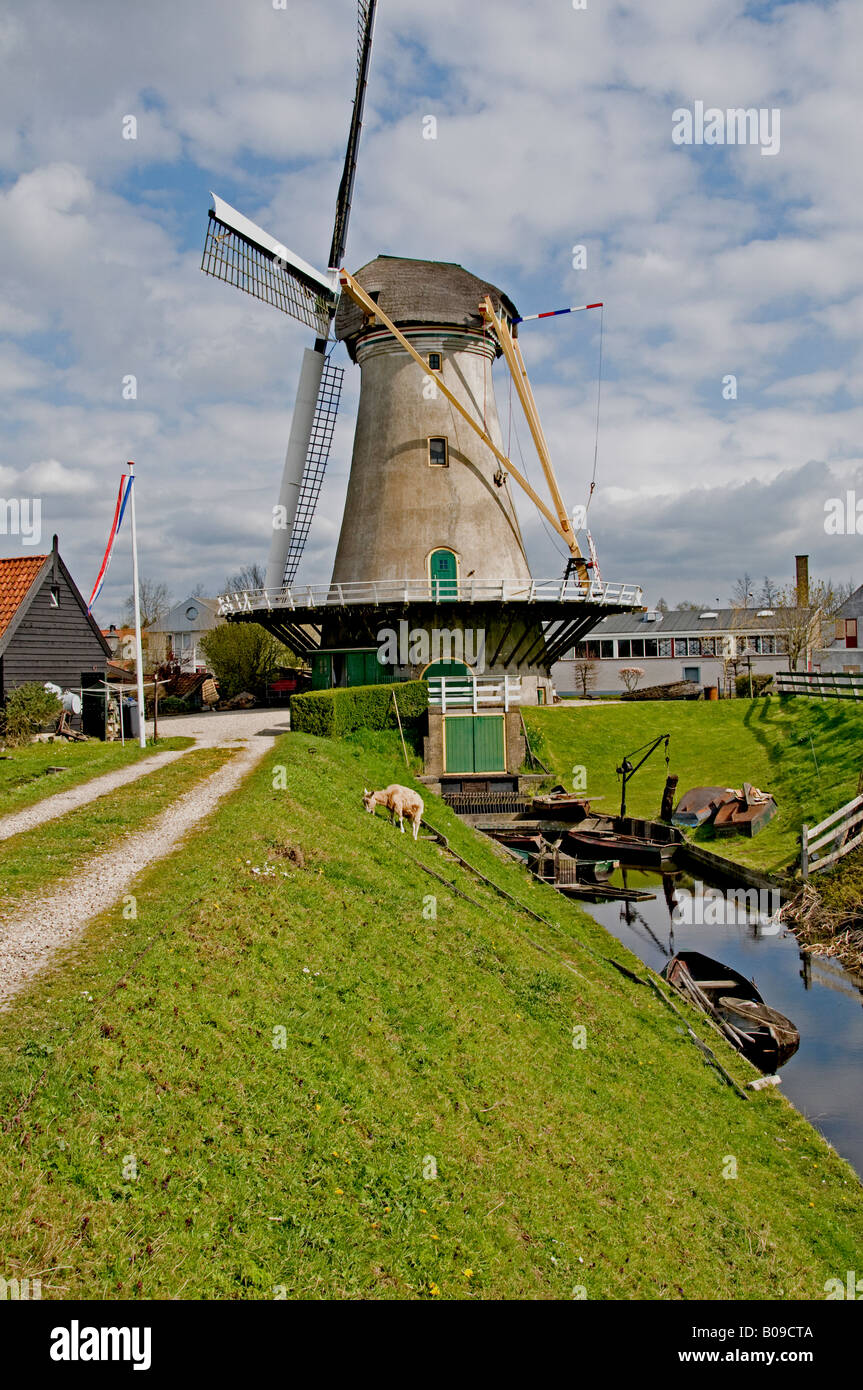 Windmill near schoonhoven Netherlands Holland Stock Photo - Alamy