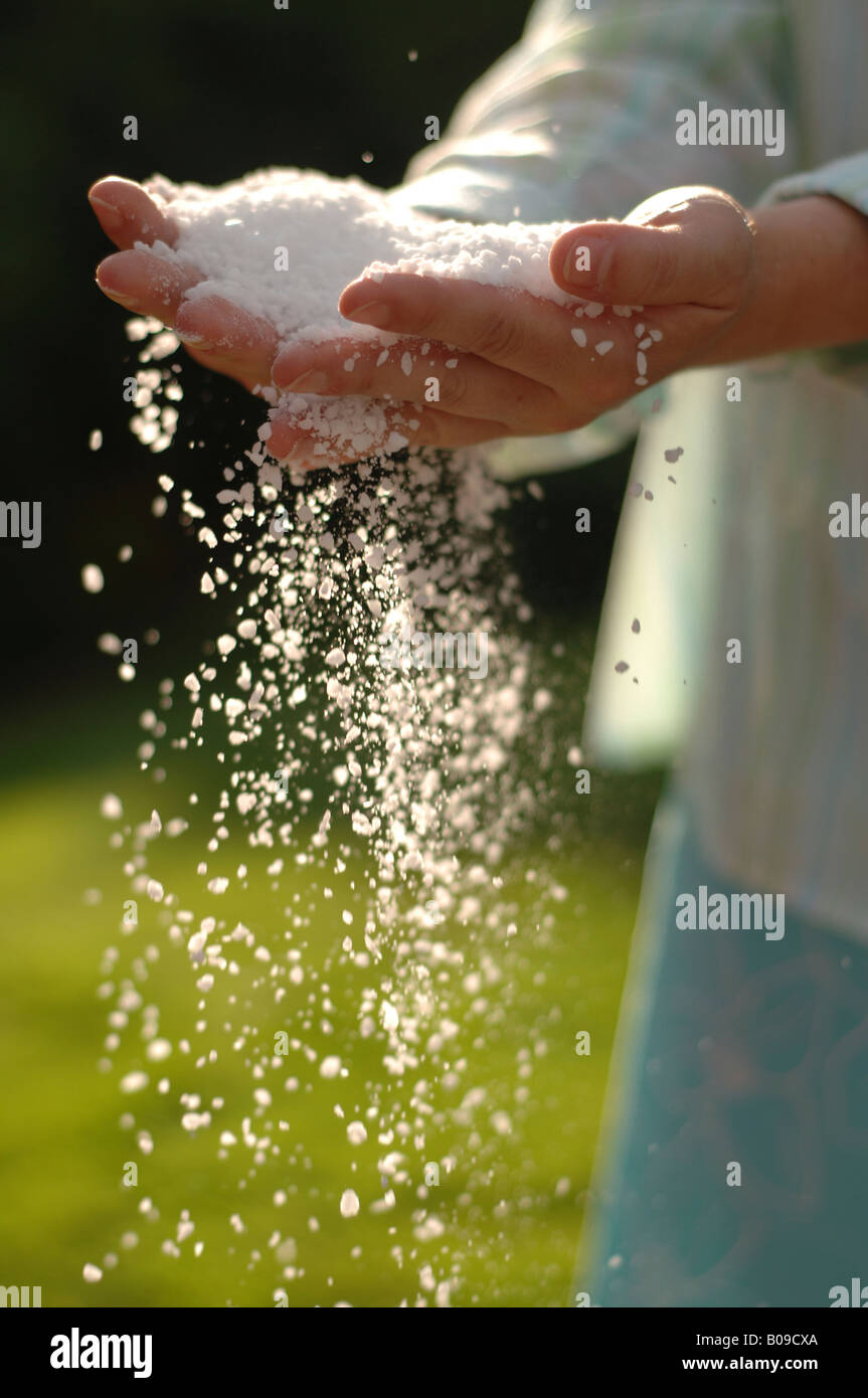 Sugar running through the hands of a farmer Stock Photo - Alamy