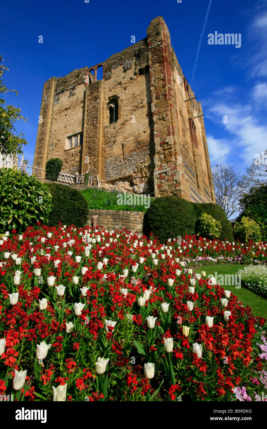 guildford castle gardens surrey england uk gb Stock Photo - Alamy