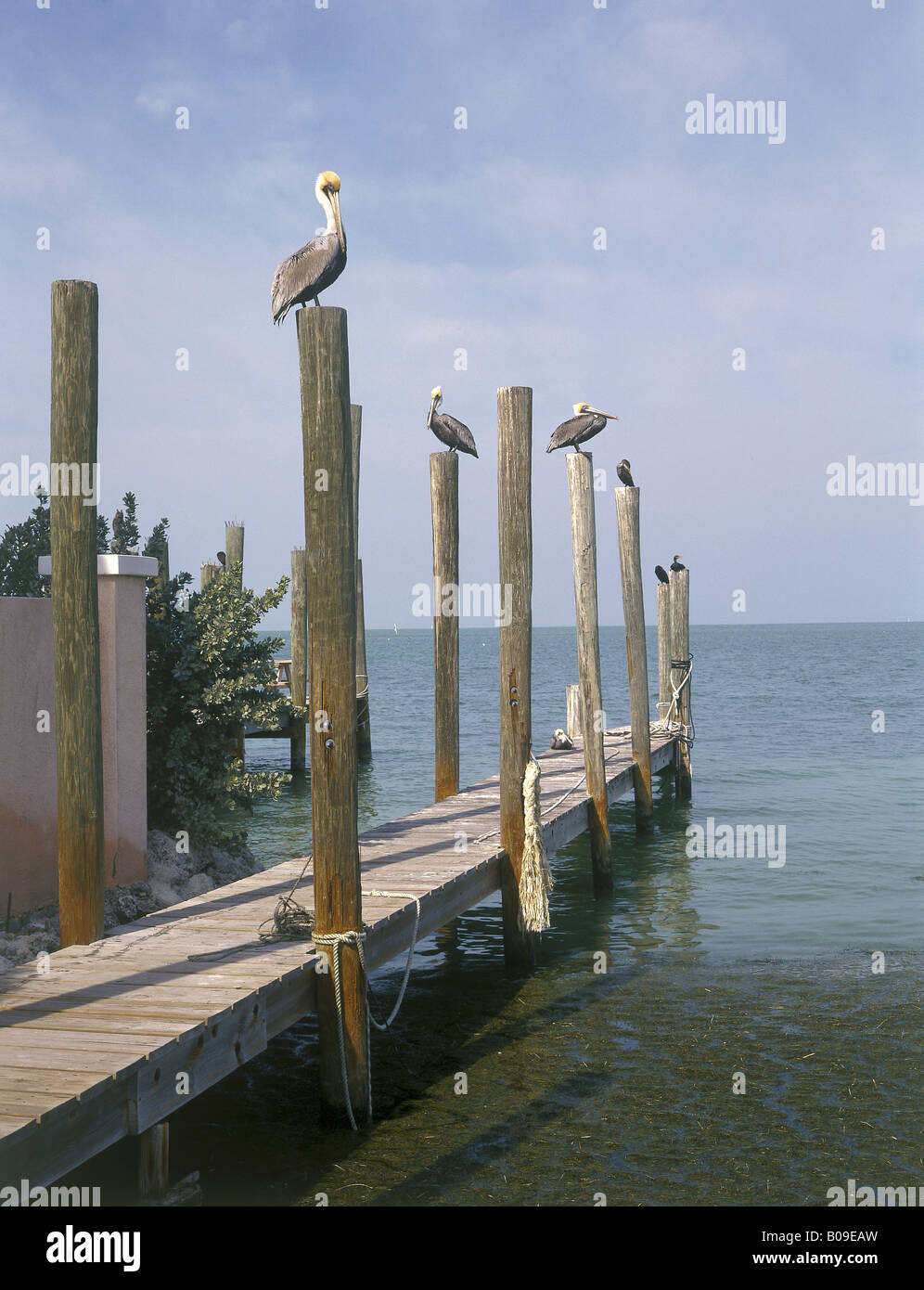 Perched on poles hi-res stock photography and images - Alamy