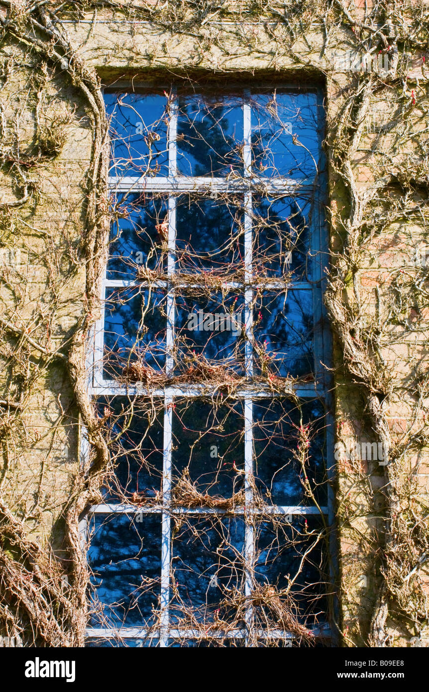 The haunted building (1), portrait photograph Stock Photo - Alamy
