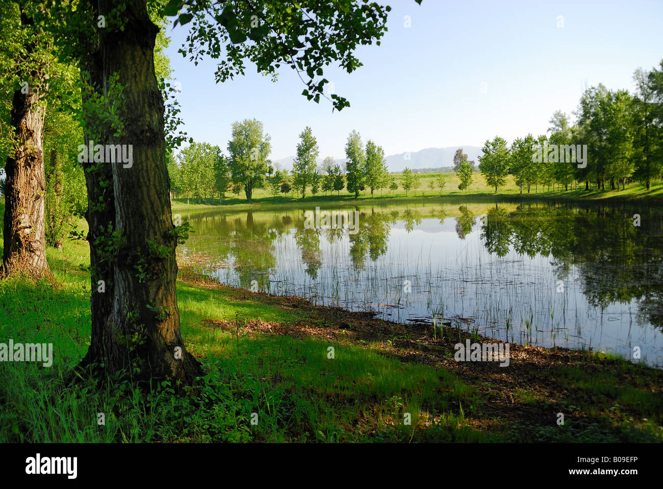 Italy, Campania.The little lake near Alvignano village Stock Photo - Alamy