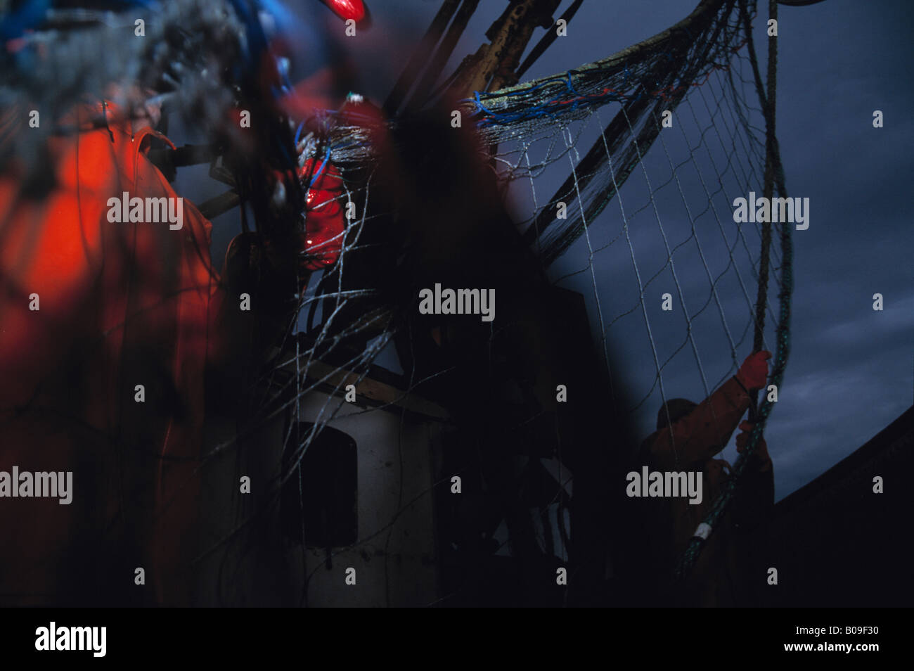 Trawler Net Full Of Fish Stock Photos & Trawler Net Full Of Fish Stock ...