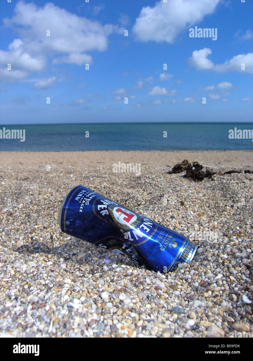 Discarded beer can on a beach with blue sky and sea beyond Stock Photo ...